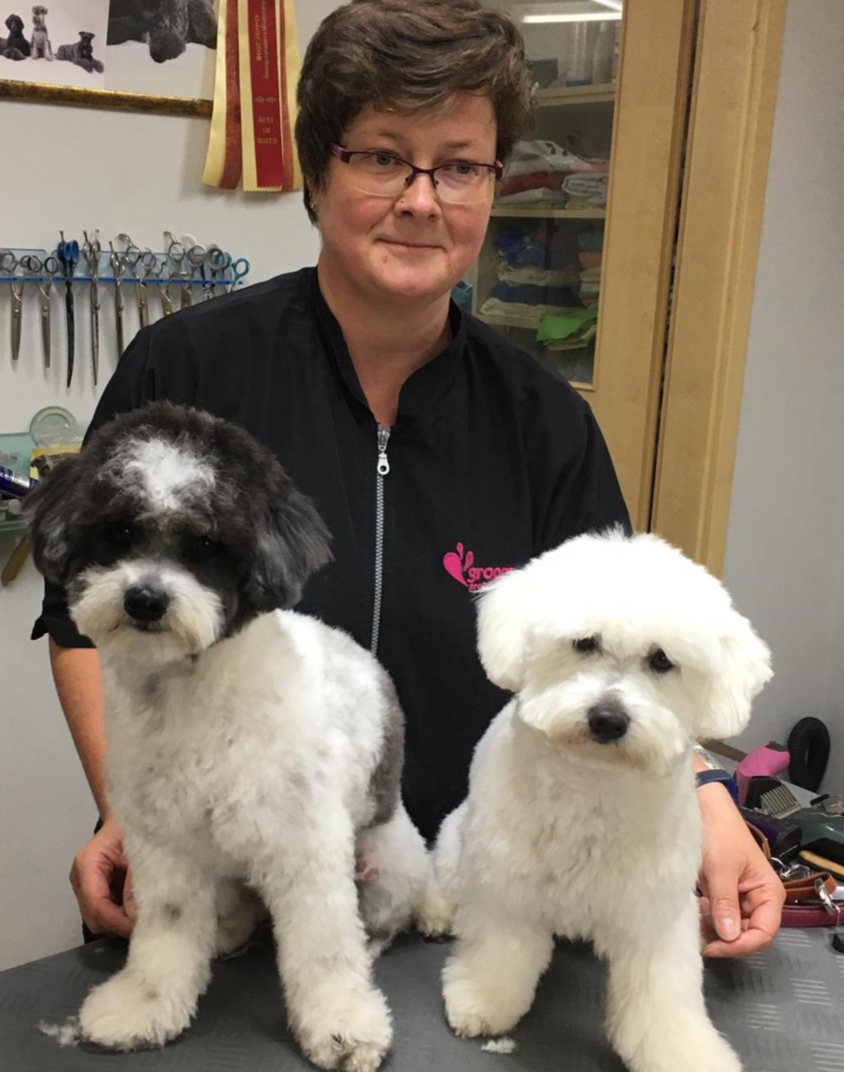 Salon | Für alle Felle Hundefriseur